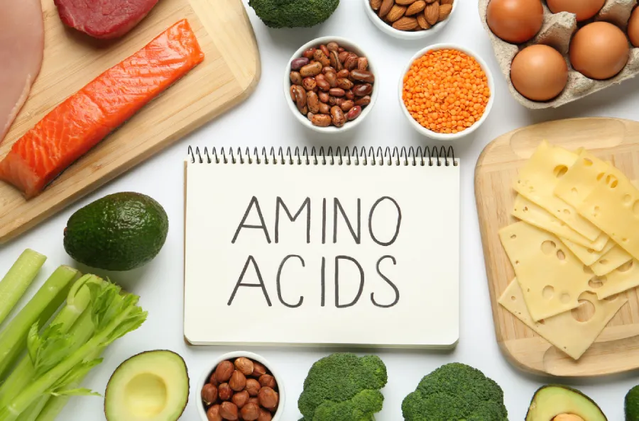 The Digestible Indispensable Amino Acid Score (DIAAS): A Breakthrough ...